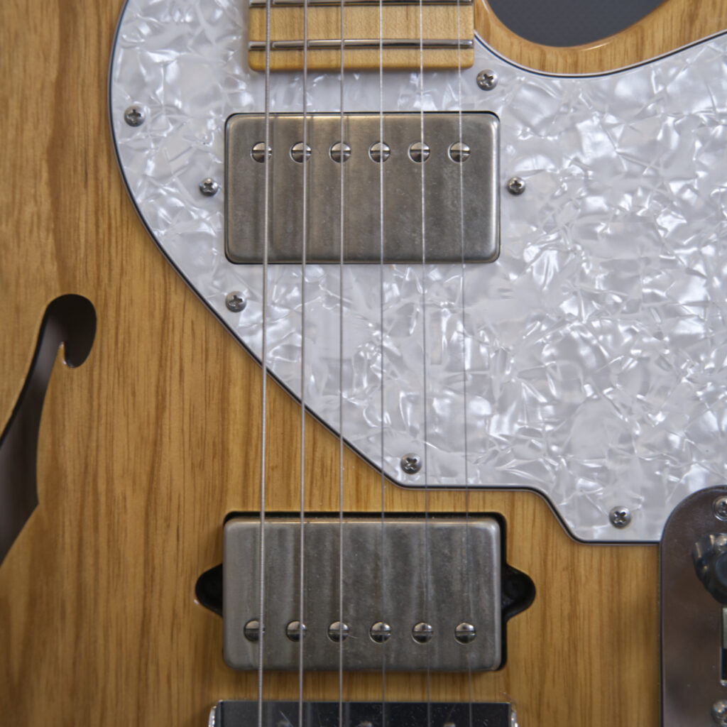 How To Buy Your First Electric Guitar - A Beginner’s Guide - Guitareo Riff